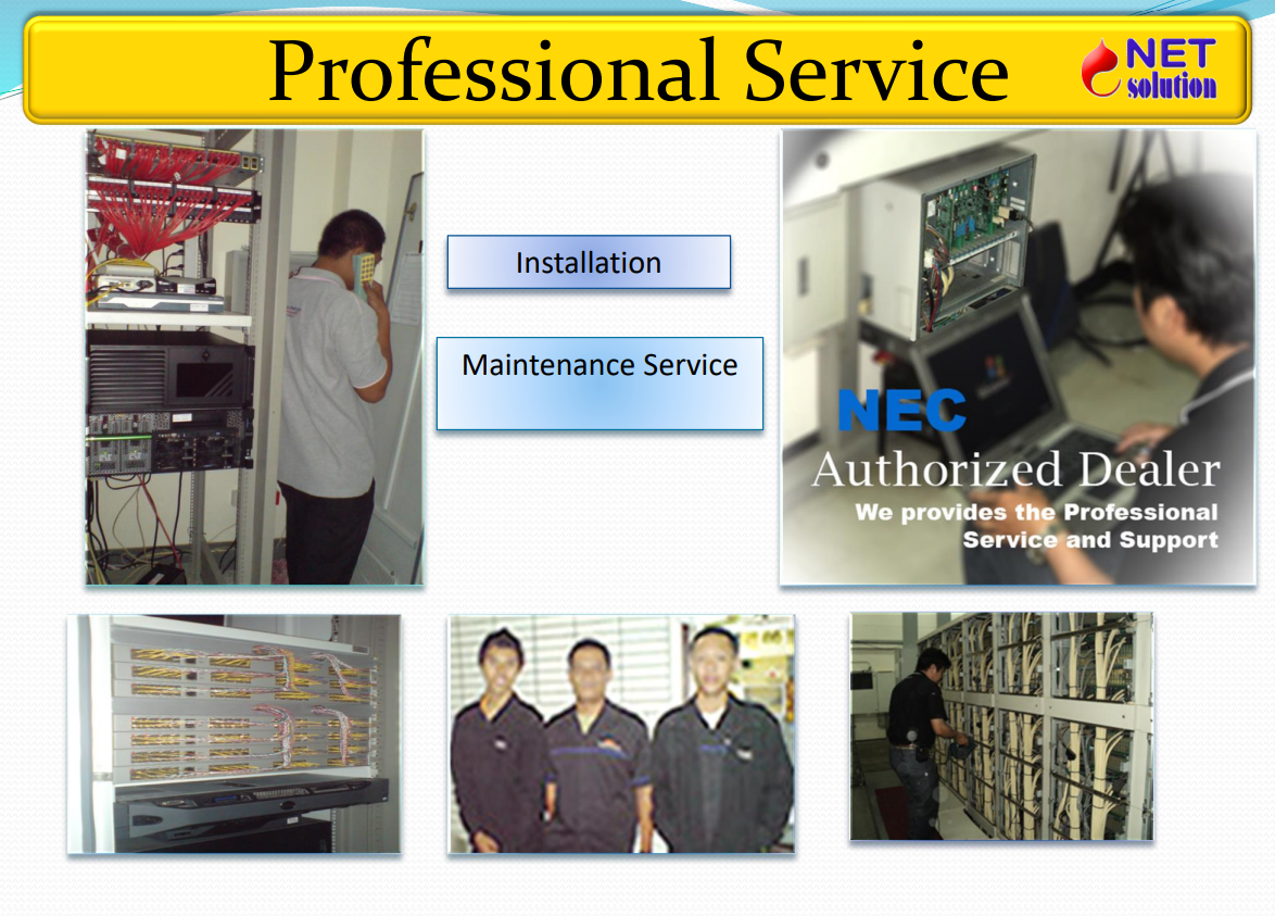 Professional Service - NET Solution Co.,Ltd.