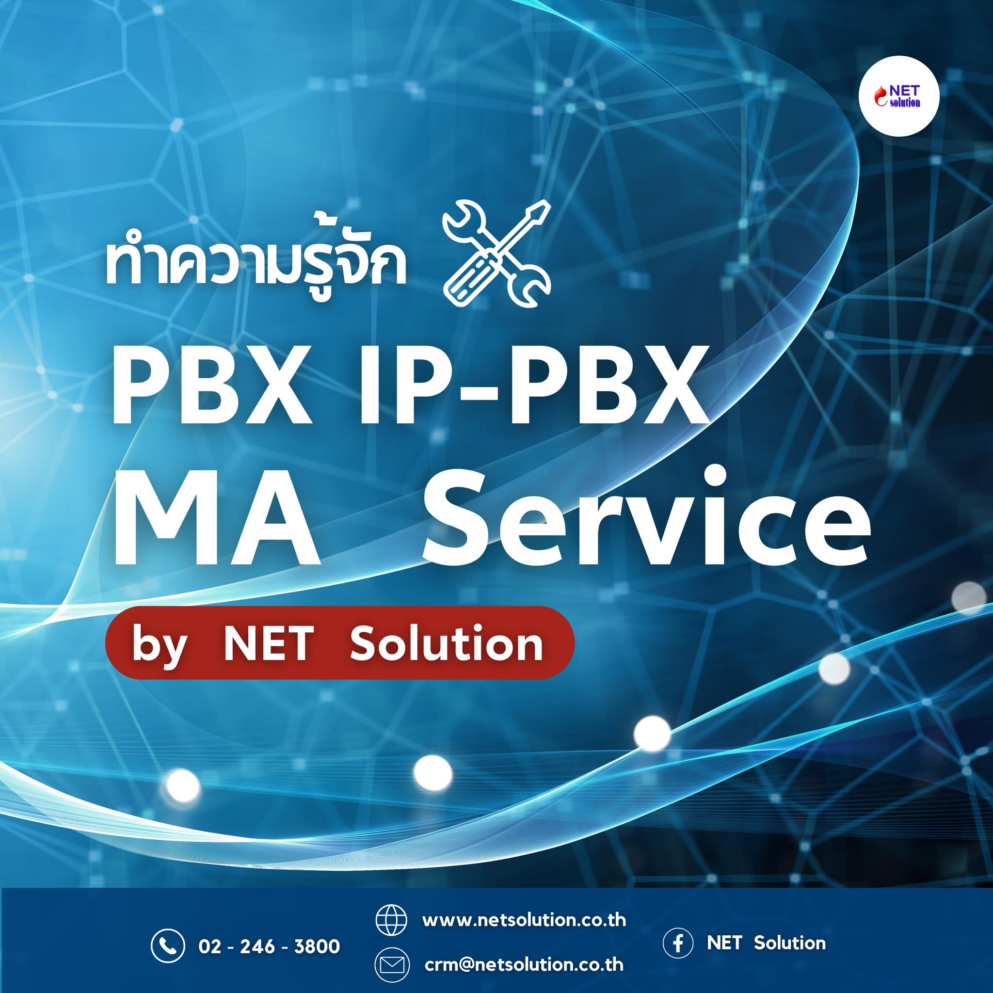 Professional Service - NET Solution Co.,Ltd.