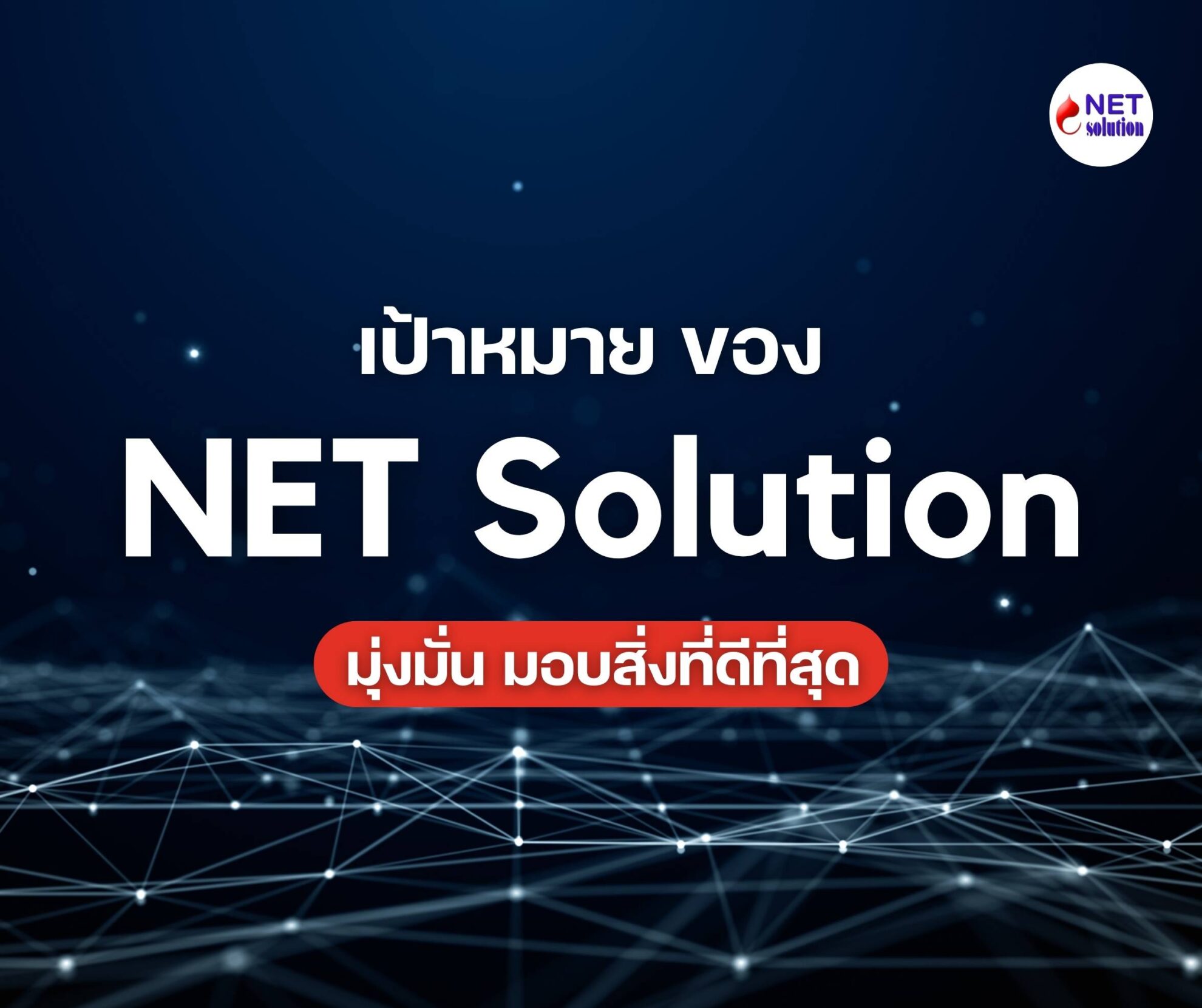 NET Solution คืออะไร